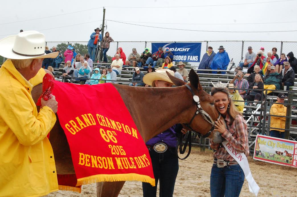 Benson Mule Days Named Top 20 Event In Southeast | JoCo Report